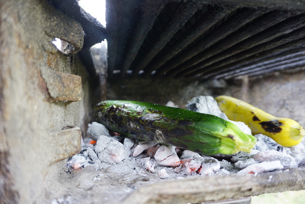 Cook Like A Patagonian: Easy Recipes For The Open Fire | Outdoorsy.com